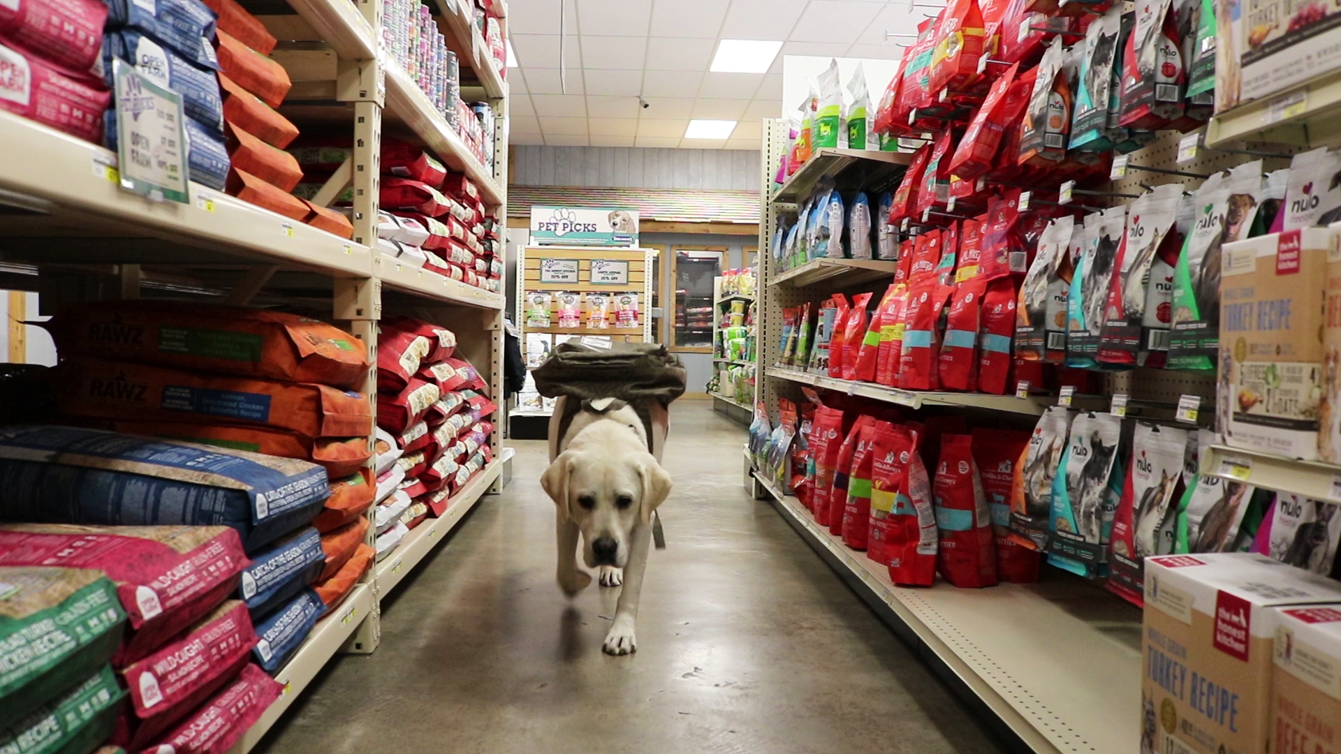 Top 10 Essentials for Bark-To-School – Tomlinson's Feed