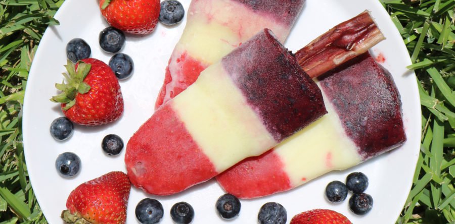 Dog-friendly Popsicle Recipe – Tomlinson's Feed