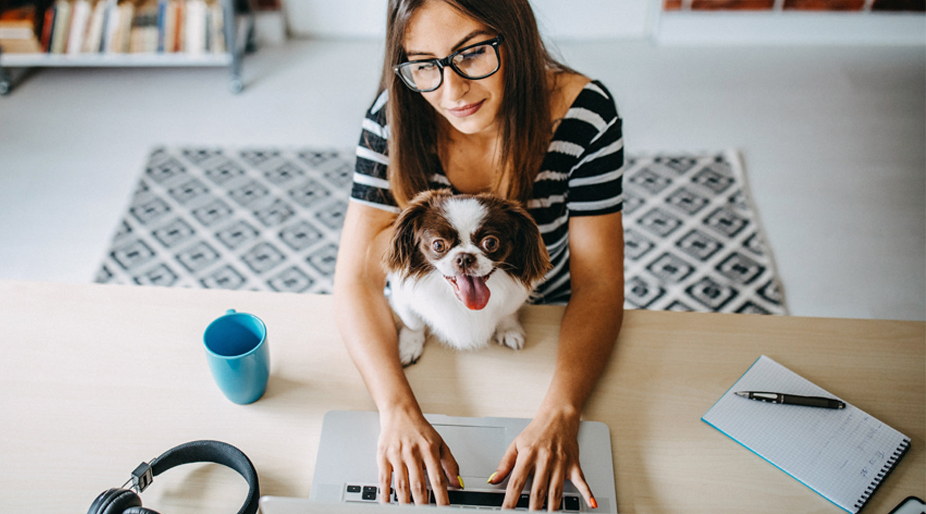 Co-Working With Your Pet – Tomlinson's Feed