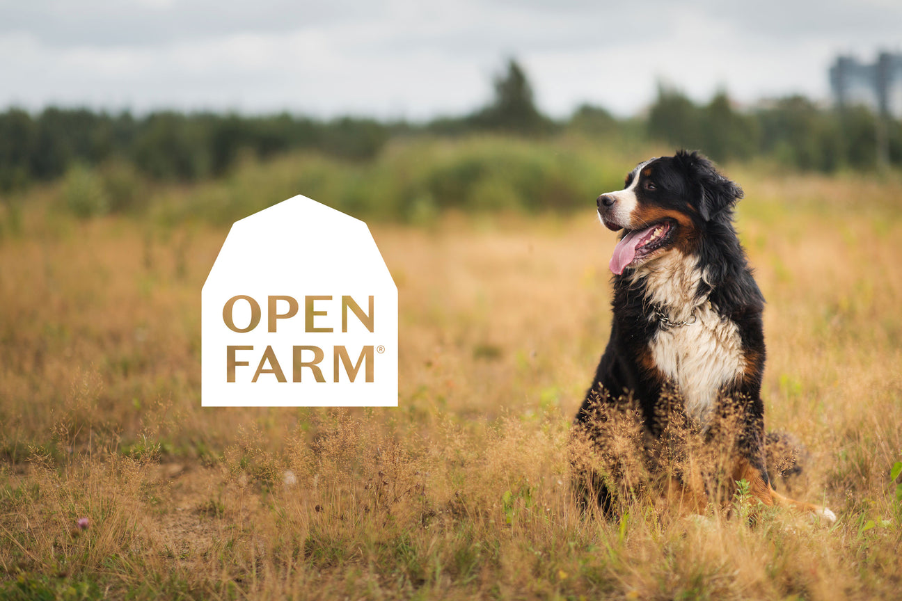 Open Farm Pet Food in Austin, Texas – Tomlinson's Feed