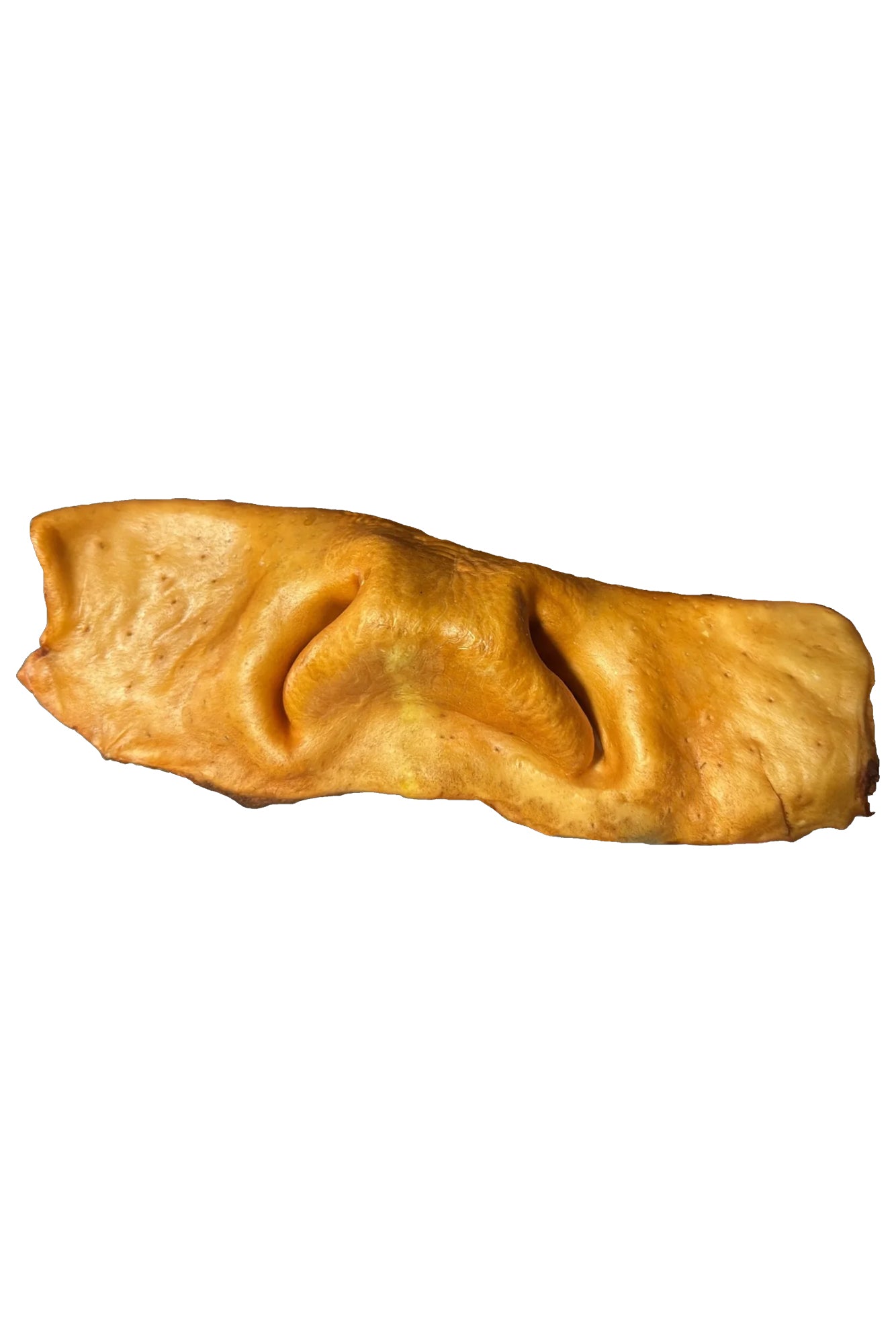 Raw Dog Beef Snout Dog Chew in Austin, Texas – Tomlinson's Feed